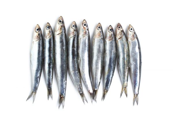 O que é um Pescetariano e o que o comem? - Nutrição Integrativa