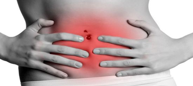 12 Laxantes naturais que ajudam na obstipação - Nutrição Integrativa