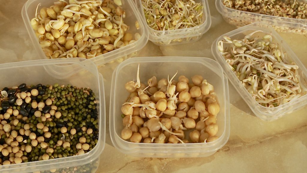 ABC dos germinados - Nutrição Integrativa